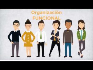 Tipos De Organización Según Su Función • TIPOSDE