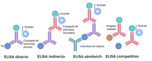 Tipos De ELISA • TIPOSDE