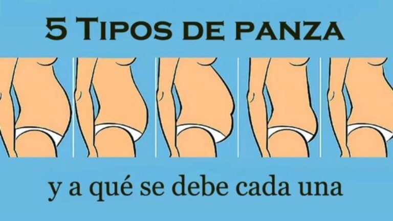 Tipos De Panza • TIPOSDE